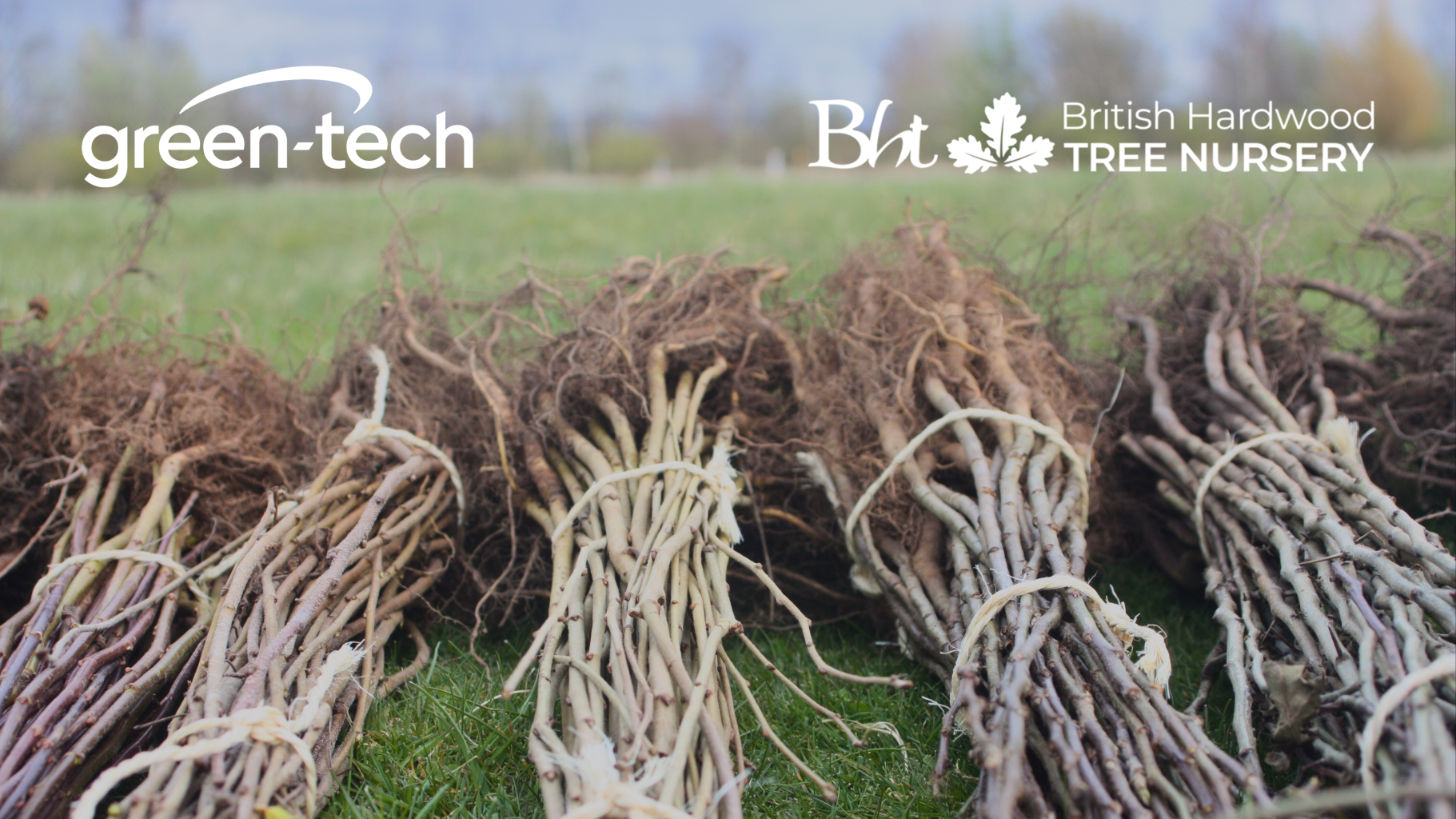 Green-tech announces collaboration with British Hardwood Tree Nursery ...